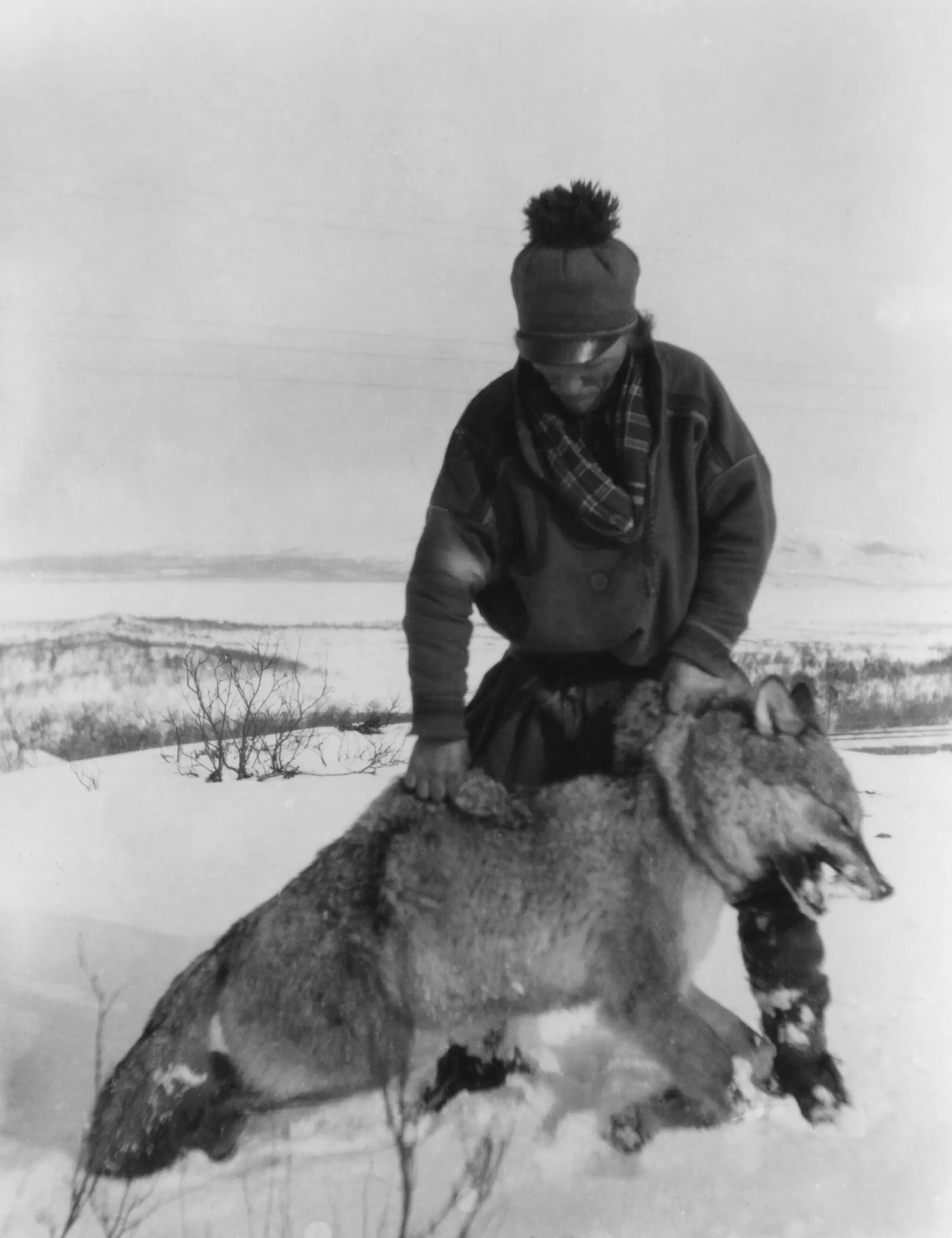 En man, Johan Turi, håller en död varg i nackskinnet. Fotot är taget av ...