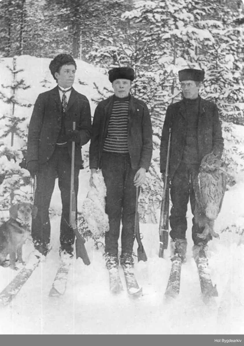 Jakt, jegerar3, vinter, hund, gevær, hagle, rifle, rype, hubro. snøugle ...