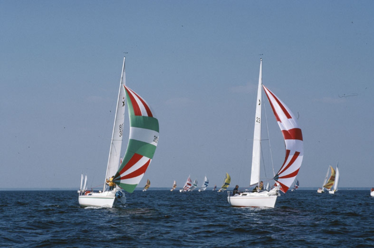 Albin Express - Sjöhistoriska museet / DigitaltMuseum