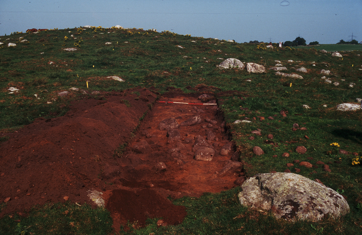IVAR-prosjektet. - Arkeologisk museum, Universitetet i Stavanger - Foto ...