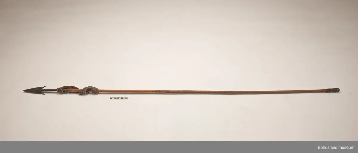 Harpun - Bohusläns museum / DigitaltMuseum
