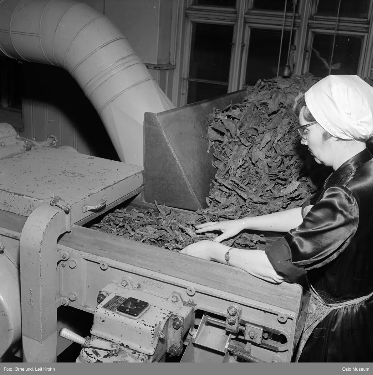 Produksjon av Sorte Mand sigarer ved Tiedemanns Tobaksfabrik. - Oslo ...