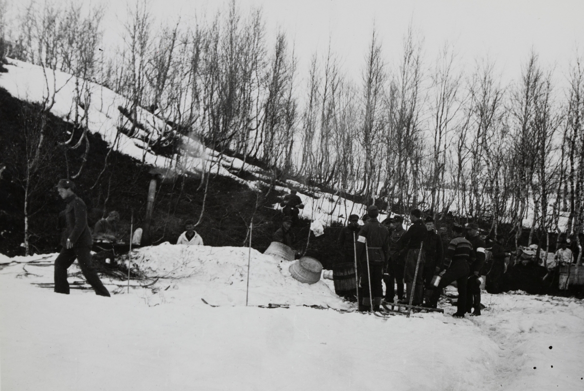 KRIGEN 1940/NORD-NORGE - Forsvarets museer / DigitaltMuseum