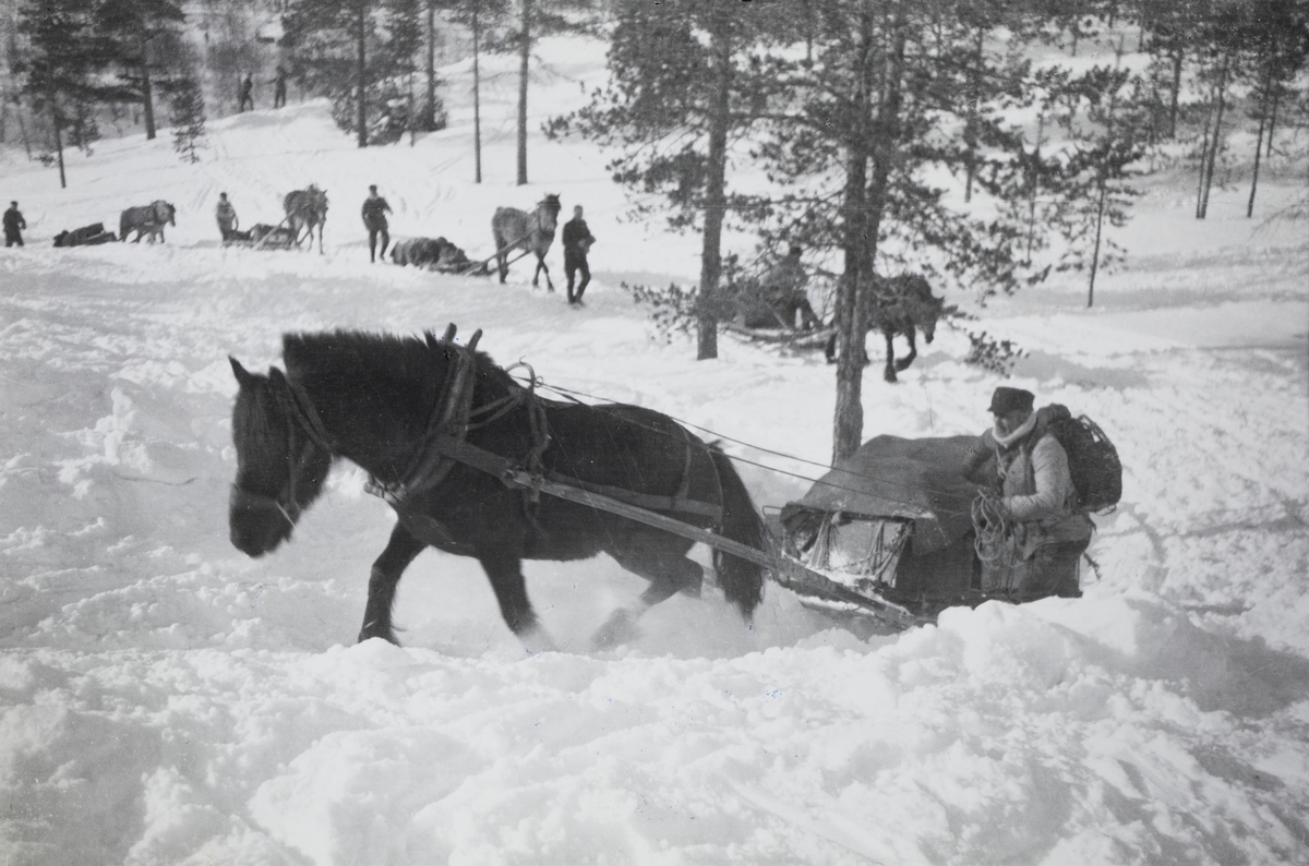 KRIGEN 1940/NORD-NORGE - Forsvarets museer / DigitaltMuseum
