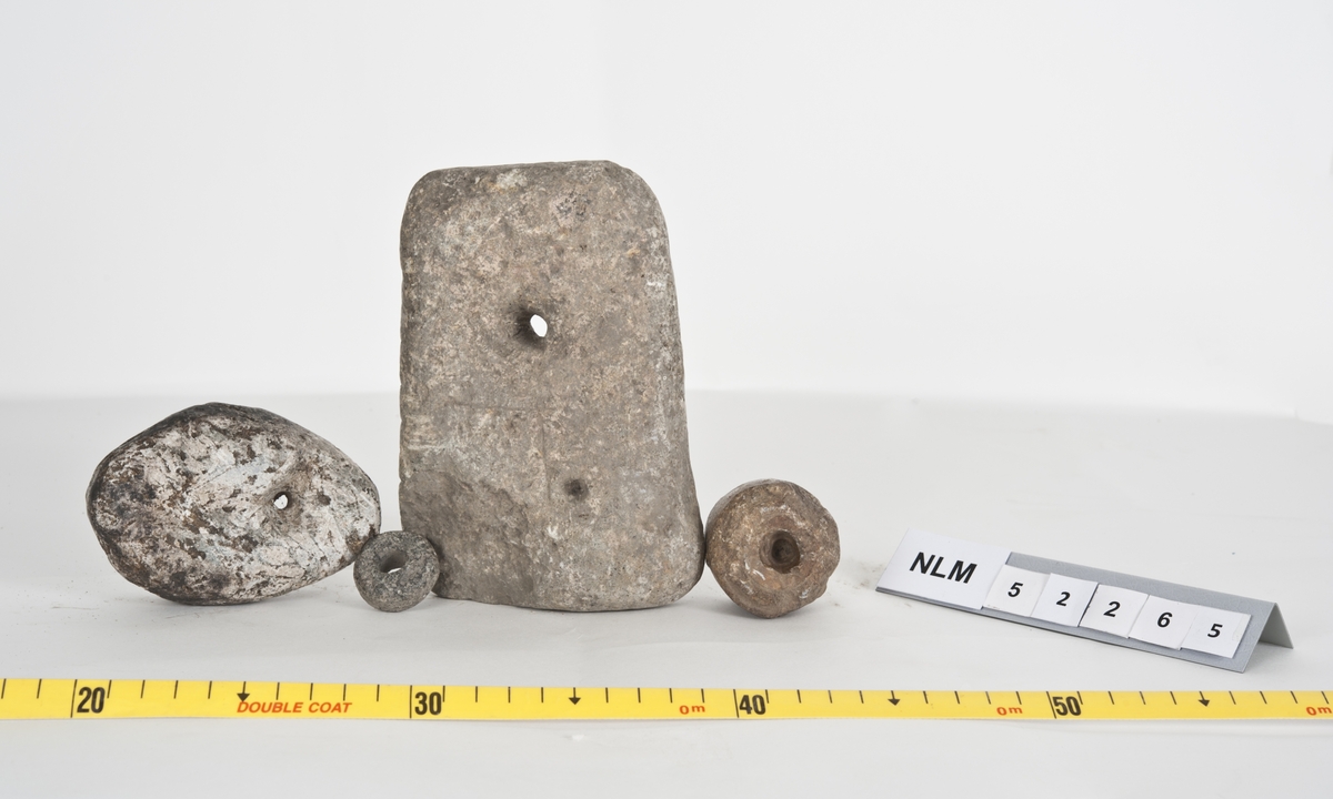 Geologisk samling m/unik ferskvannsfossiler. - Vitenparken Campus Ås ...