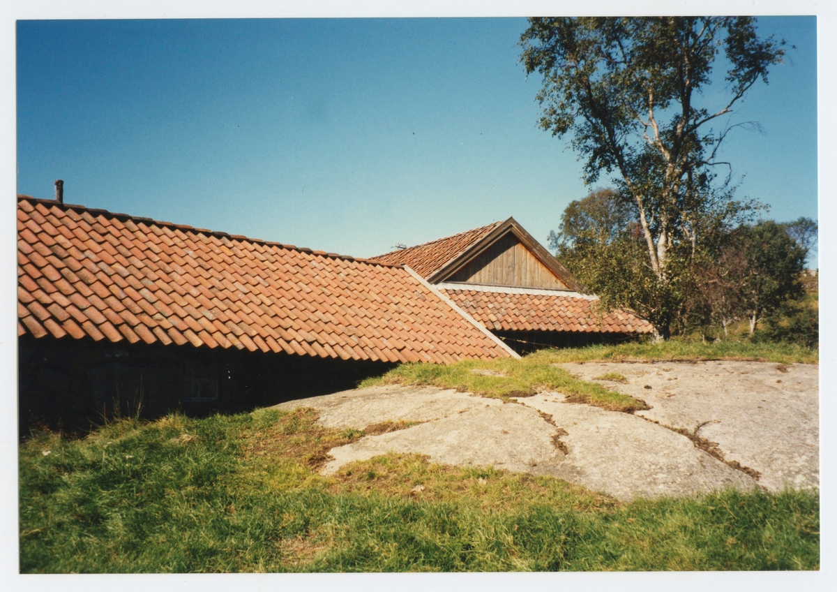 Øen i Helleland - Dalane Folkemuseum / DigitaltMuseum