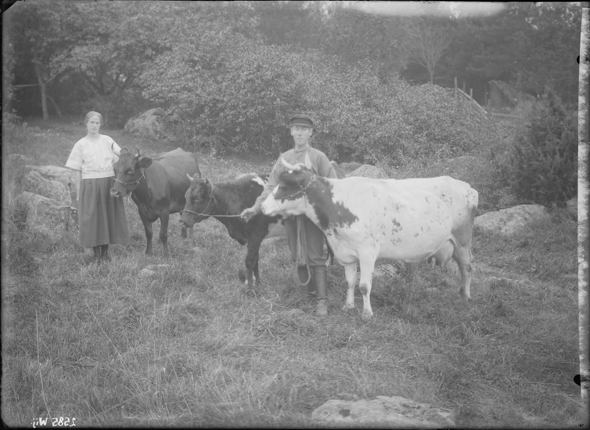 Paret Hellman på Litselås i Tillinge - Västerås Stadsarkiv / DigitaltMuseum