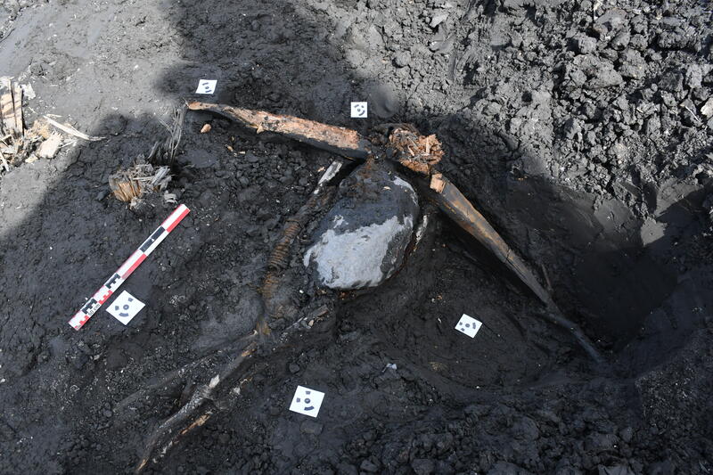 Anchor A-weigh! After 700 years on the sea floor - Norsk Maritimt Museum
