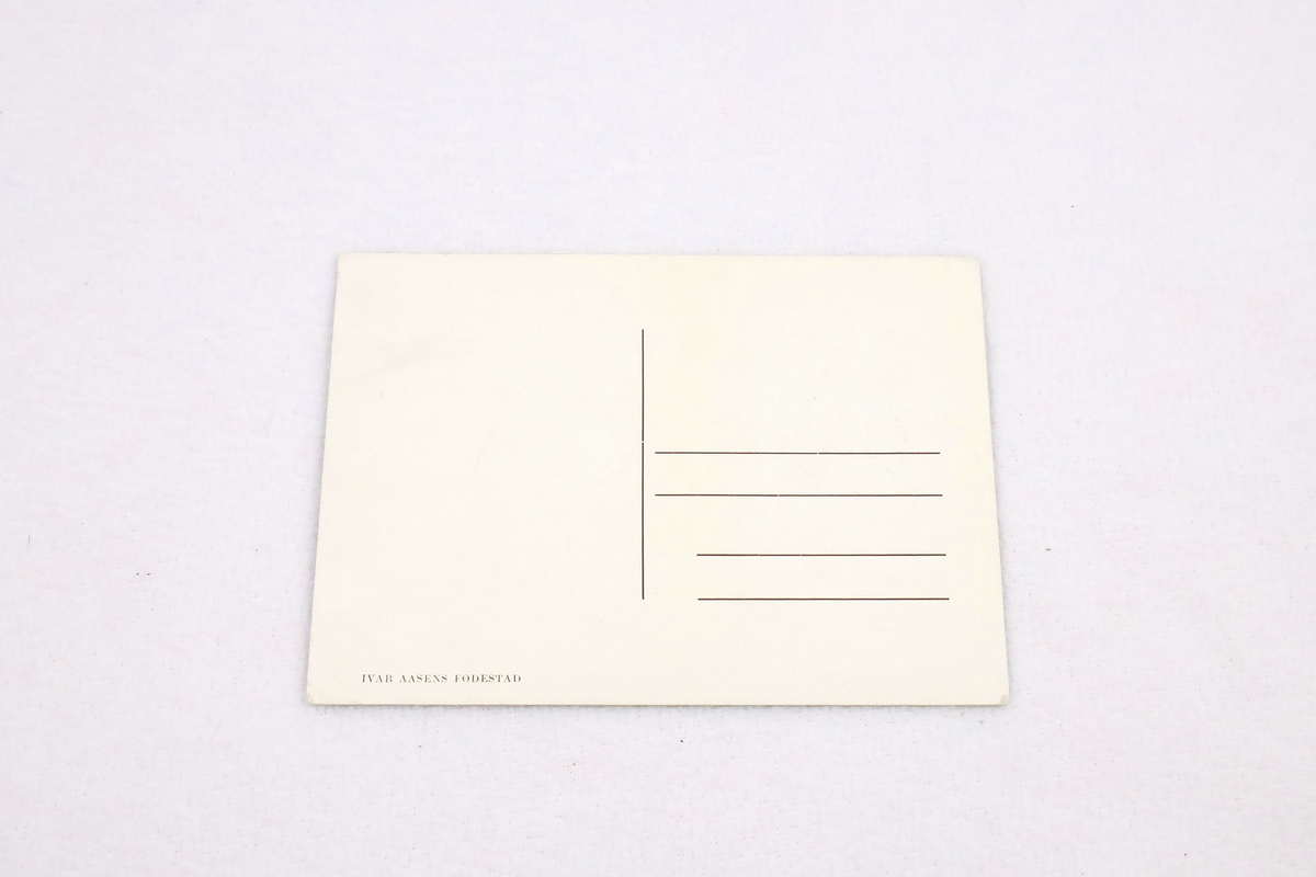 Postkort med motiv frå Aasentunet - Nynorsk kultursentrum / DigitaltMuseum