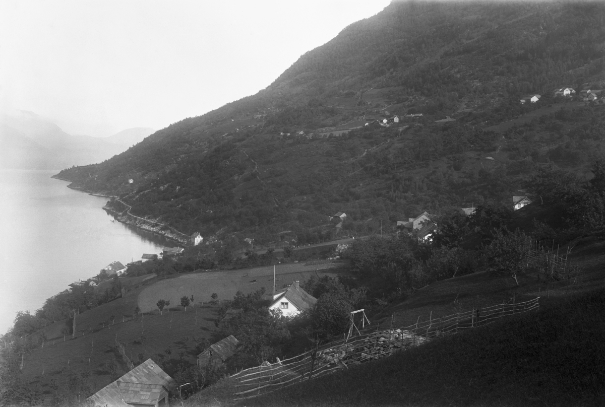 Lofthus fotografiske samling - Universitetsmuseet i Bergen, Fotobasen ...