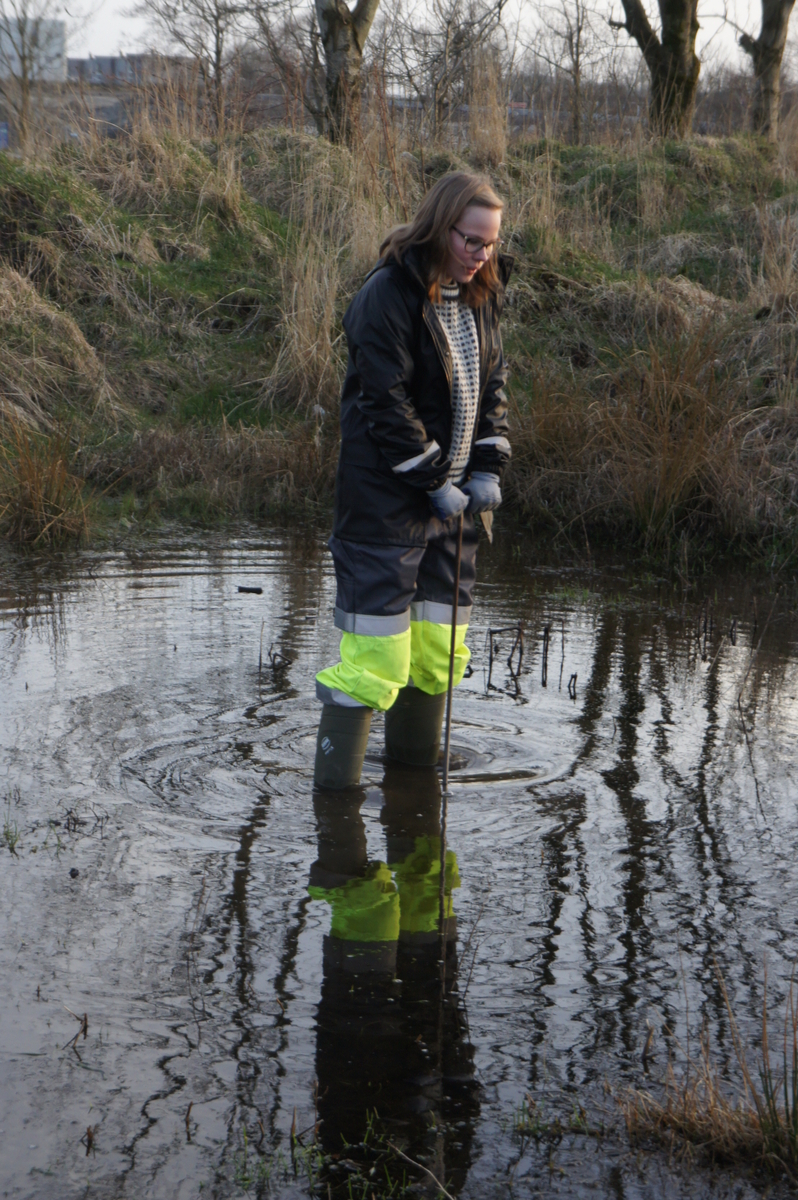 Lokaliteten Hove-Sørbø. - Arkeologisk museum, Universitetet i Stavanger ...