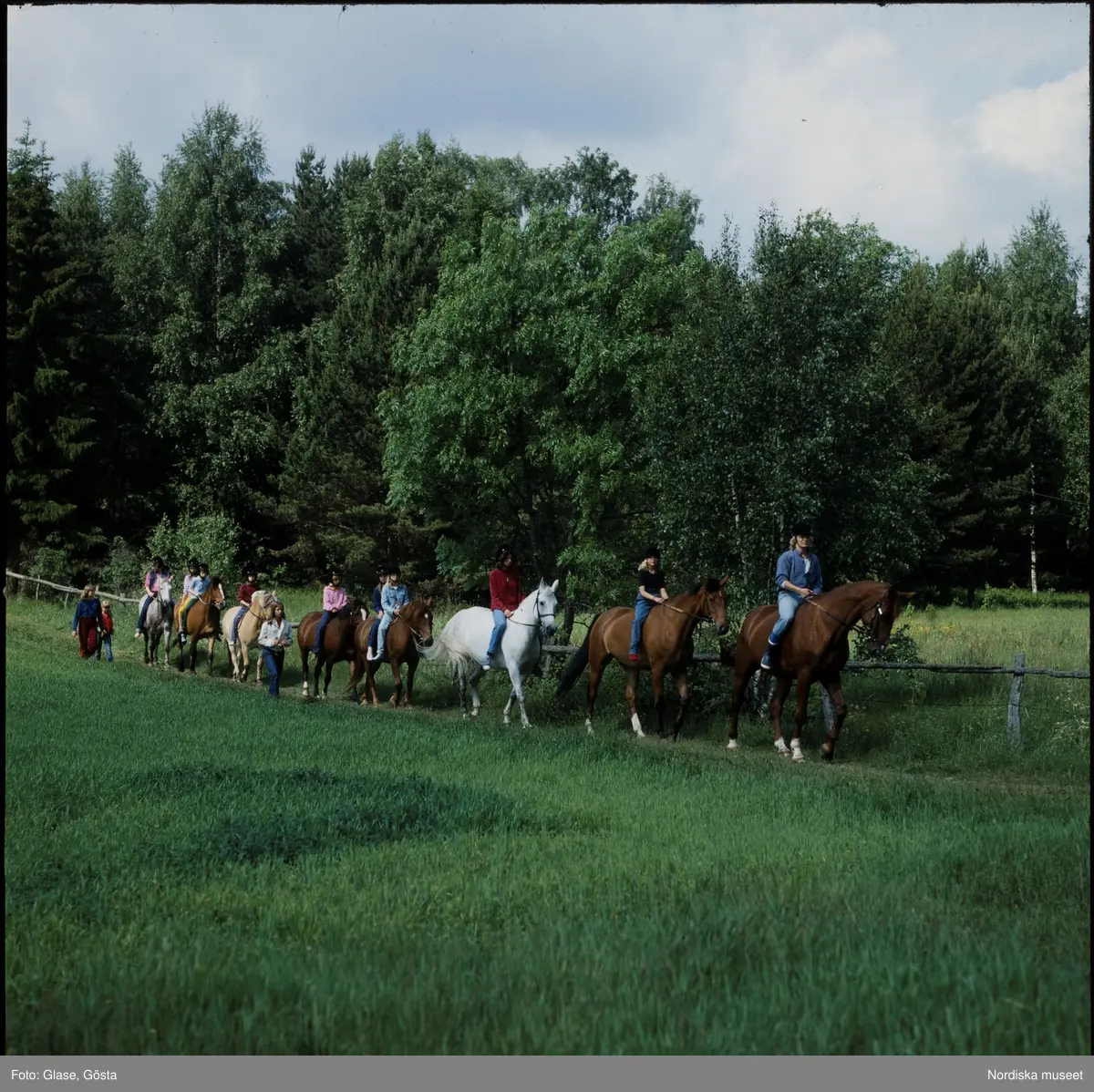 Ridskola. Elever ute och rider på led i natur. - Nordiska museet ...