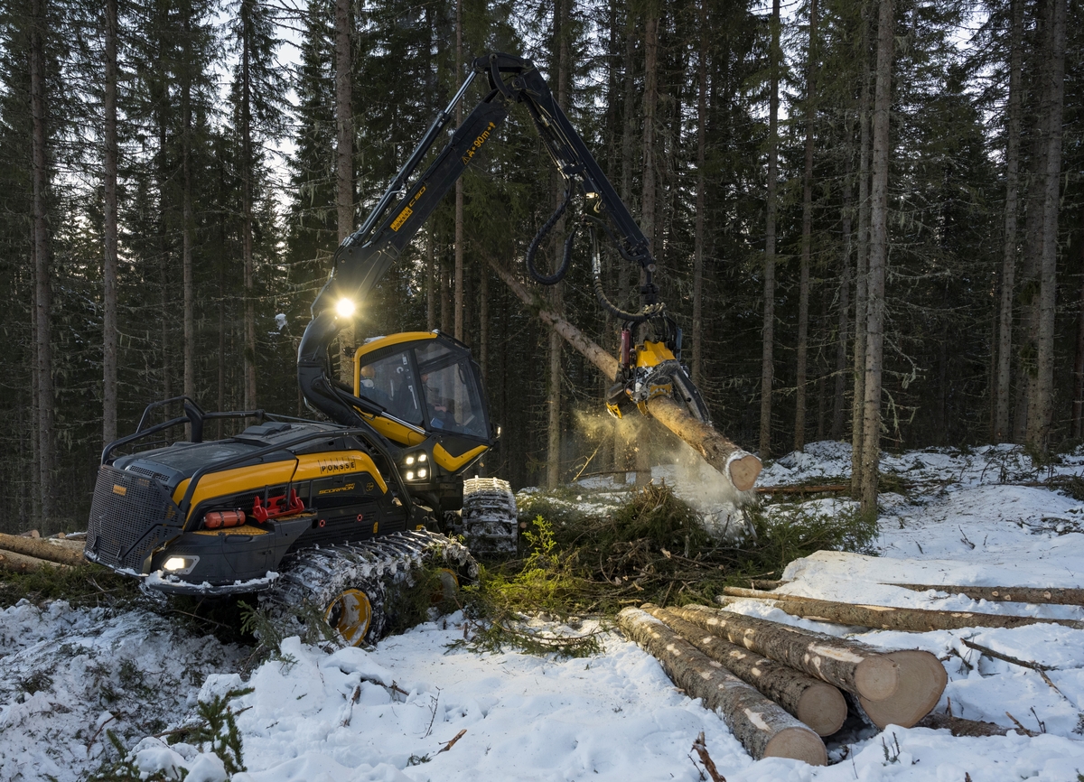Skogsdrift. Bildet er tatt litt vest for Fallsyringsbakken i Åstdalen ...