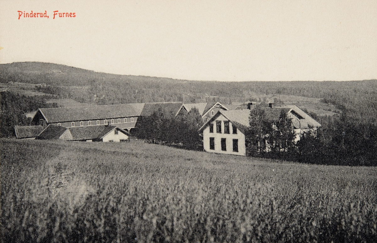 Postkort, Ringsaker, Furnes, Pinnerud gård, - Anno Domkirkeodden ...
