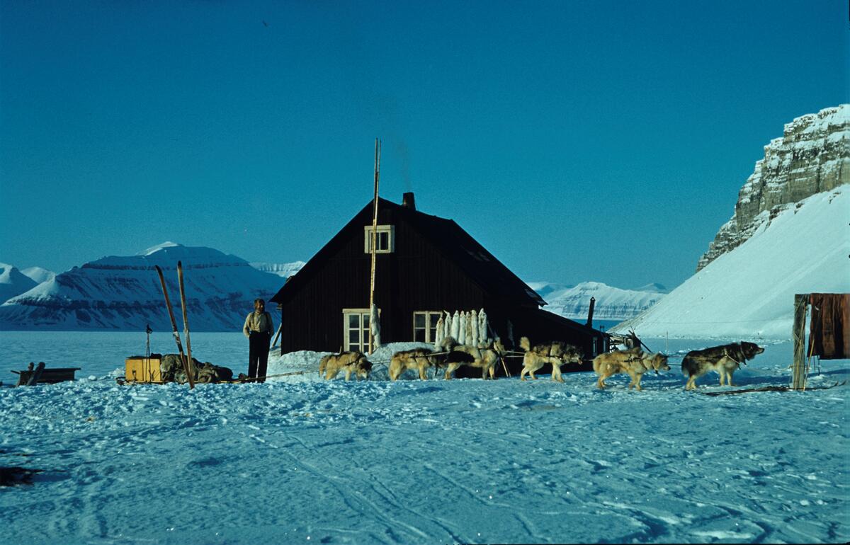 Hilmar Nøis foran hytta si Fredheim i Tempelfjorden. Reveskinn på ...