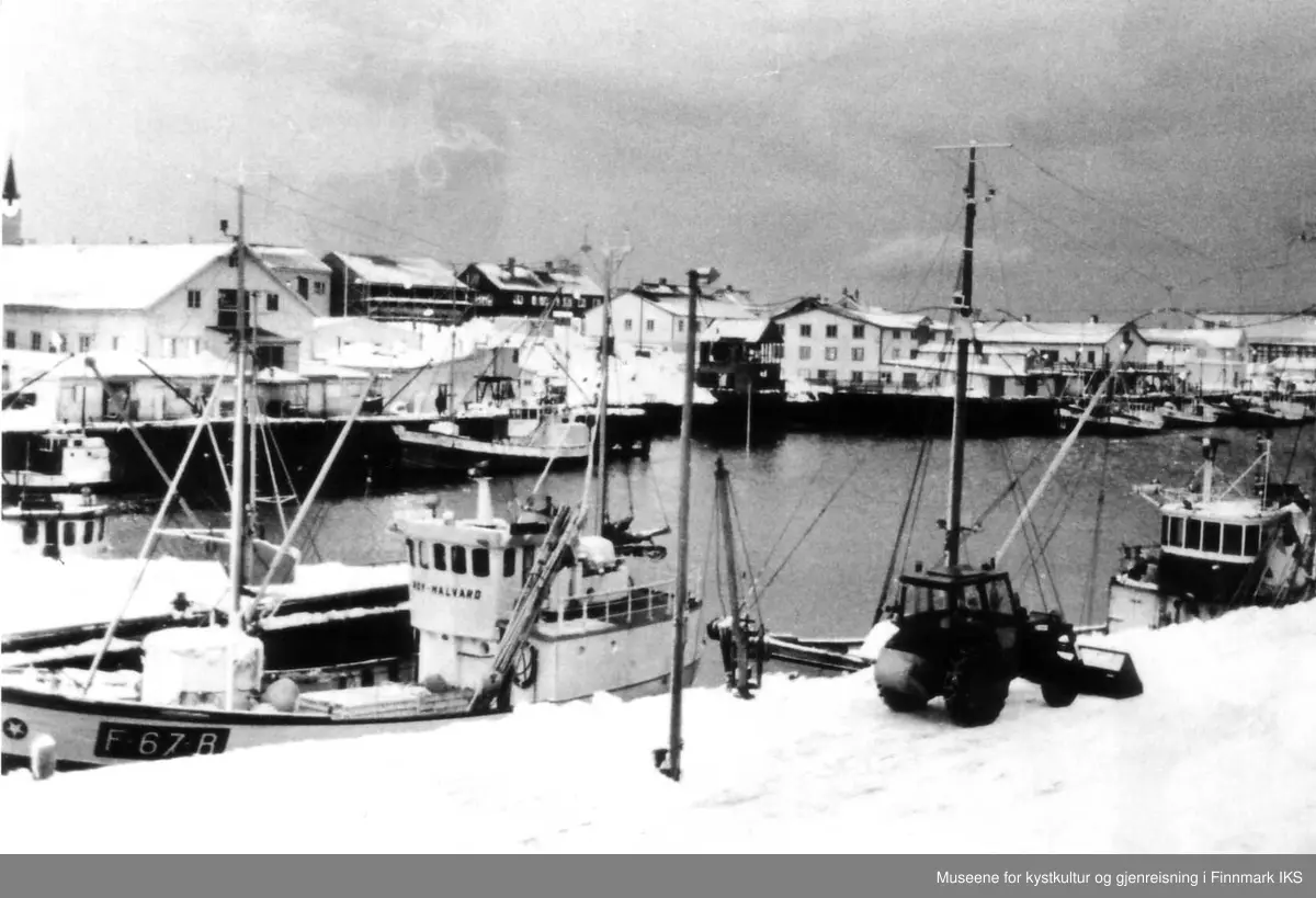 Fiskebåt, "Roy Halvard". - Museene for kystkultur og gjenreisning i ...