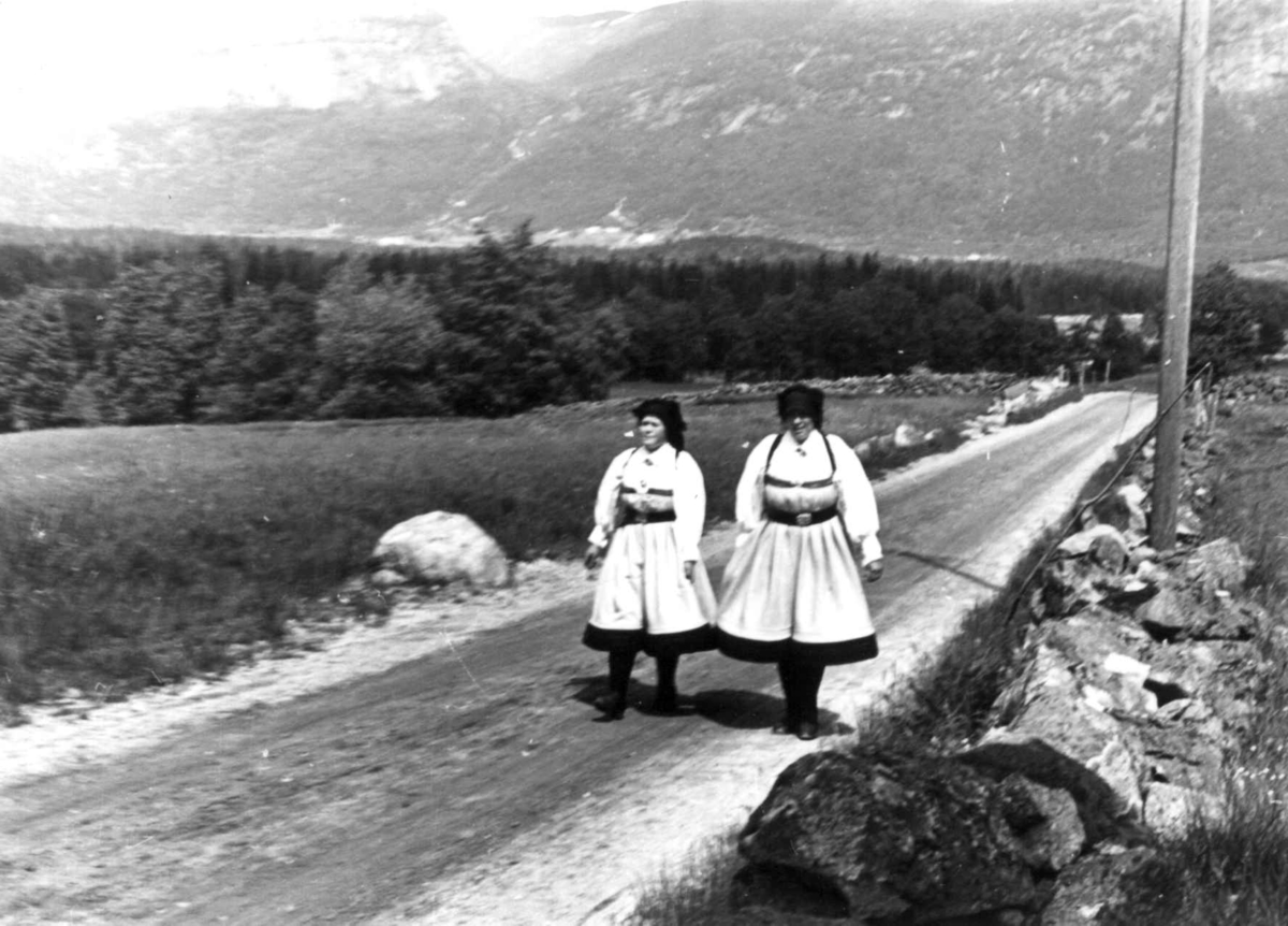 Valle, Setesdal, Aust-Agder 1939. Kvinnedrakt. To festkledde kvinner på ...