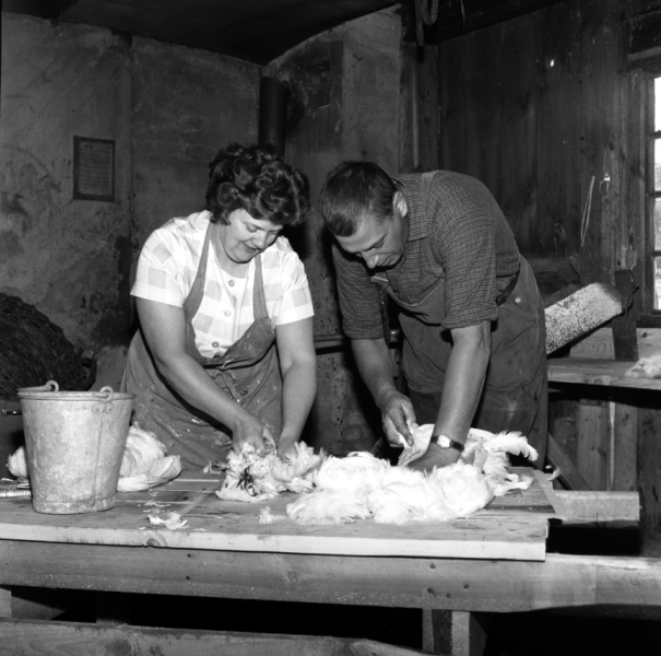 Inga och Bo Ericson, Prästg. - Falbygdens museum / DigitaltMuseum