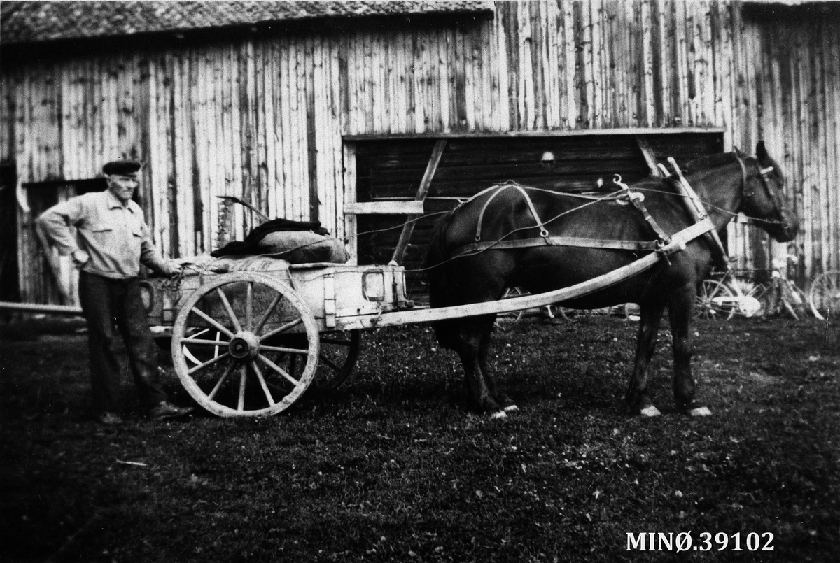 Mann med hest og vogn. Ingmar Strømsengbakken. - Anno Musea i Nord-Østerdalen / DigitaltMuseum