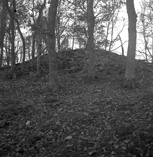 Gravröse. Ryds Västregård, grav 60 från SSÖ. - Kulturparken Småland ...