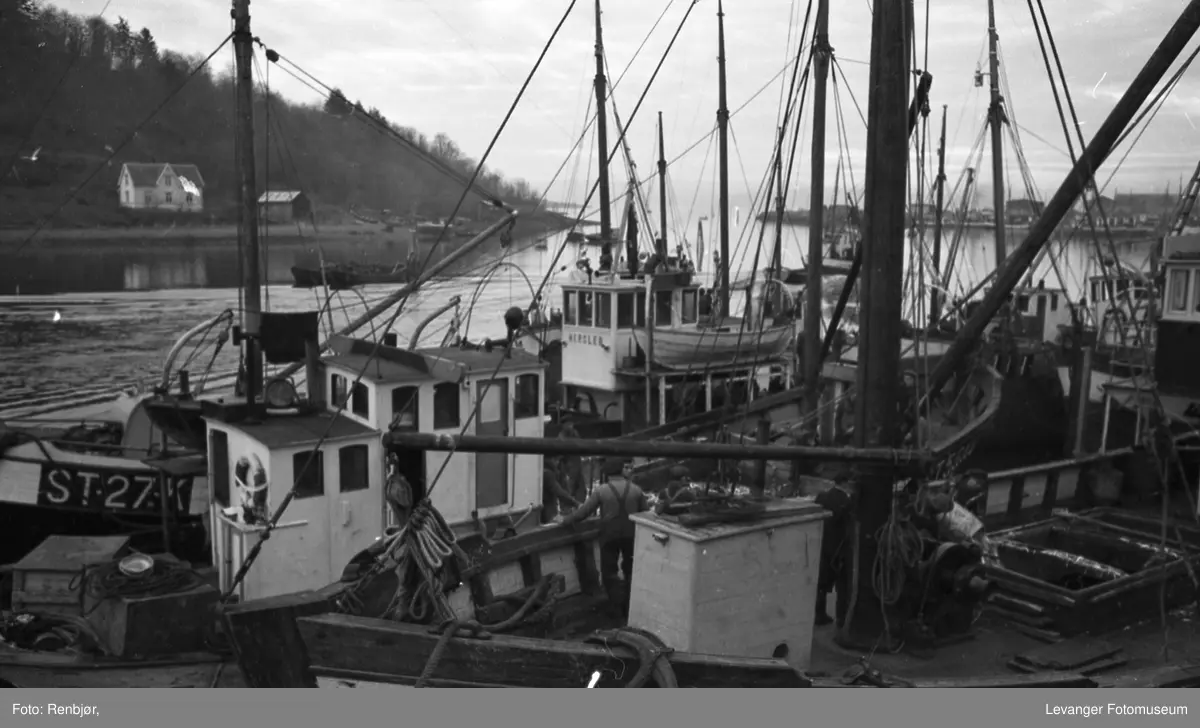 Sildefiskere i Levanger havn. - Levanger Fotomuseum / DigitaltMuseum