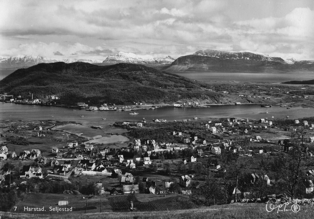 Seljestad, med Gangsås i bakgrunnen. - Sør-Troms Museum / DigitaltMuseum