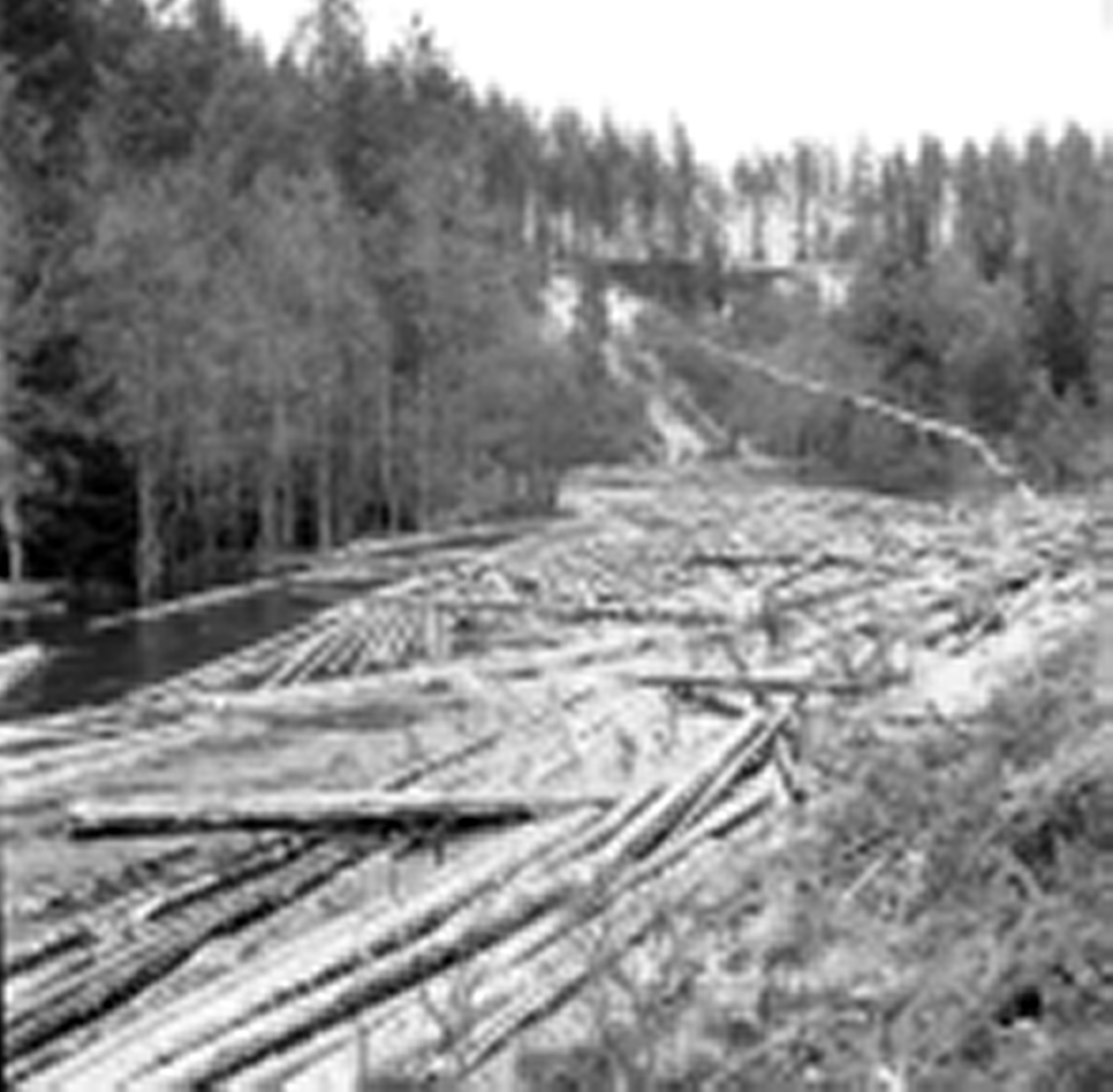 Tømmerfløting, ved Ringlidammen i Julussa - Anno Glomdalsmuseet ...
