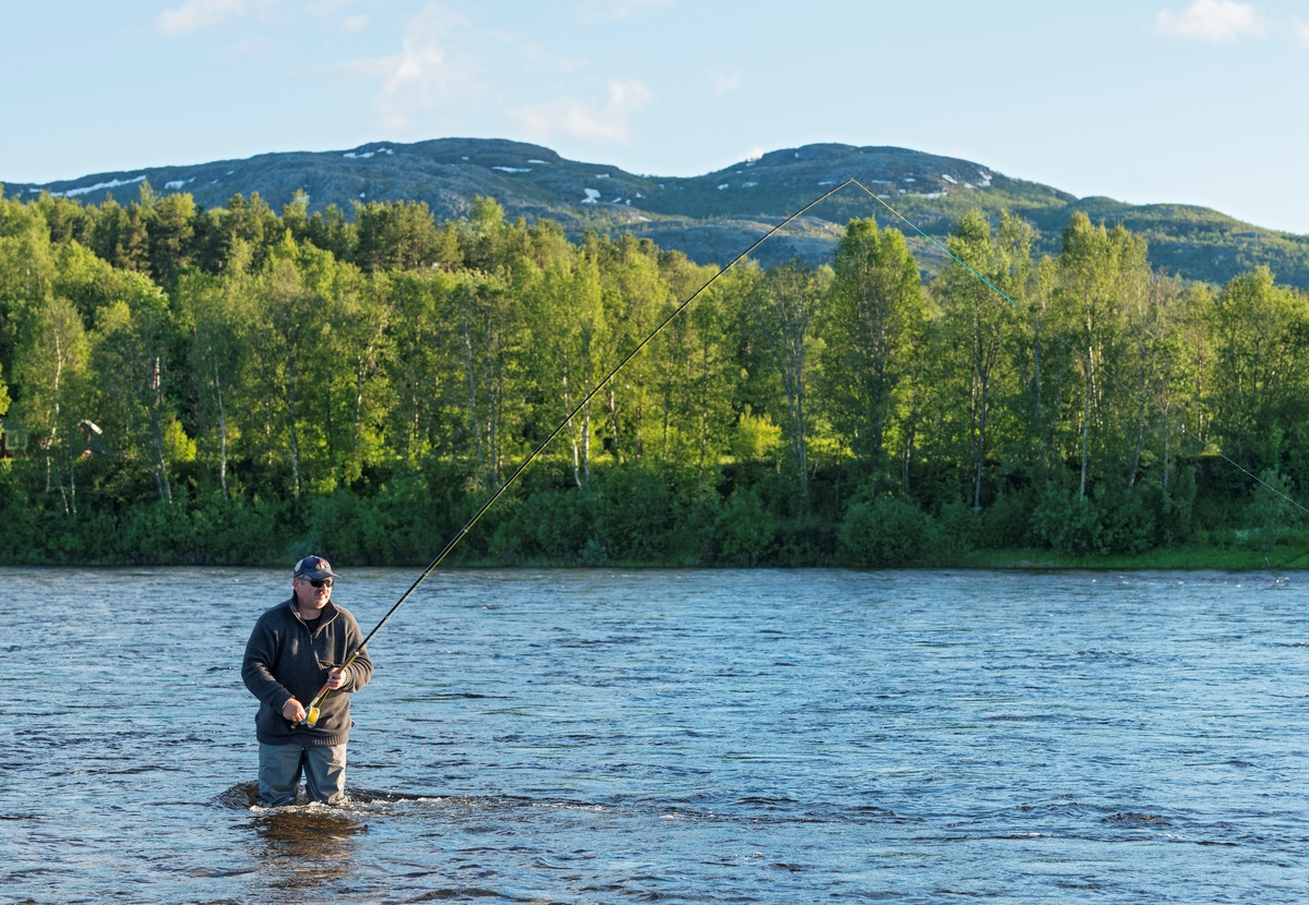 Laksefiske i Altaelva. Fra Midterfaret i Øvre Alta, Alta, Finnmark ...