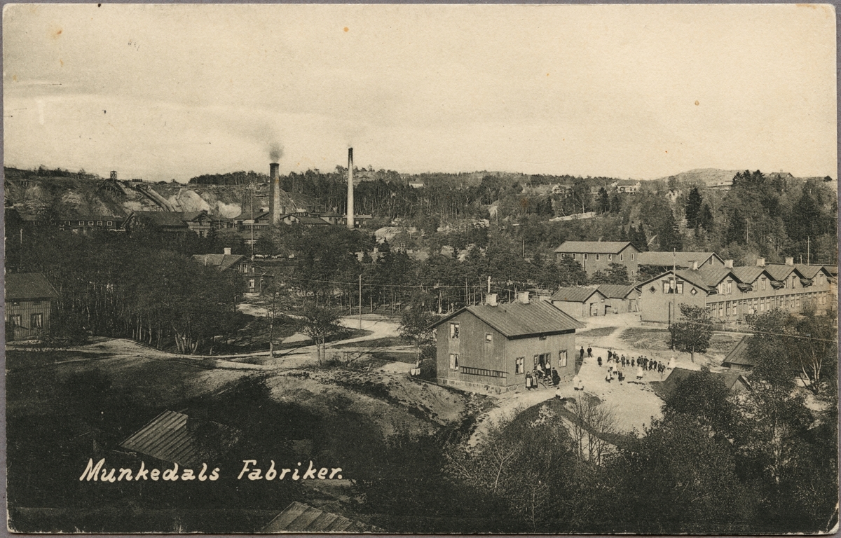 Vy över del av Munkedal och industriområde i bakgrunden ...