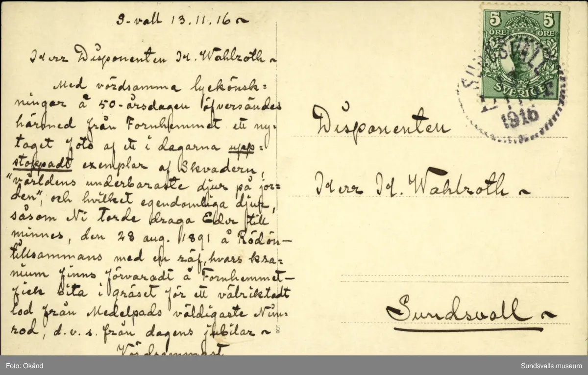 Vykort med motiv av den uppstoppade Skvadern. - Sundsvalls museum ...