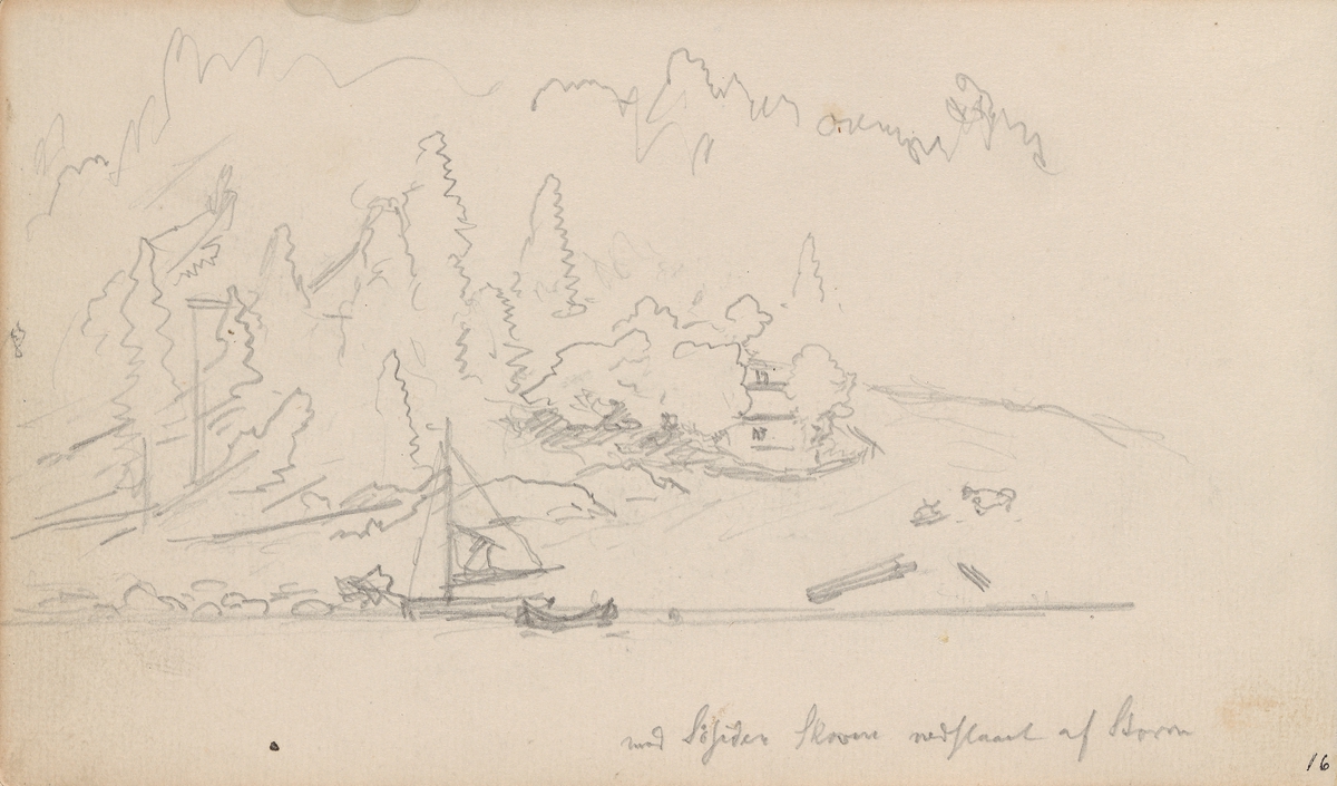 Nedblåst skog ved kysten [Tegning] - Nasjonalmuseet ...