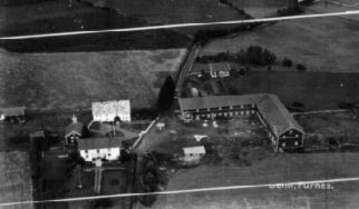 Flyfoto av Dæli gård, Furnes, Ringsaker. - Anno Domkirkeodden ...