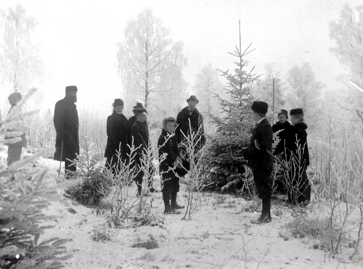 Juletrehugst, ant. i Hurum, familien til soknepresten i Hurum (1897 ...