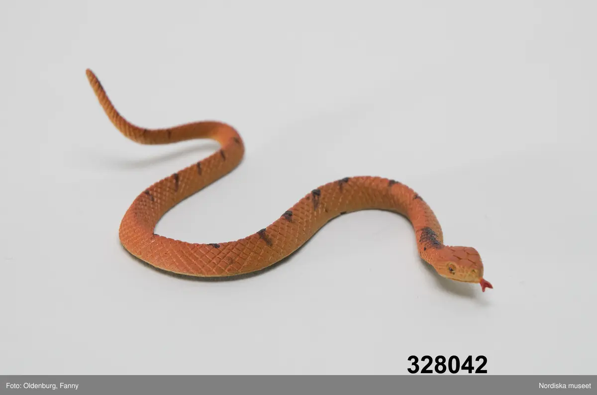 Orm - Nordiska museet / DigitaltMuseum