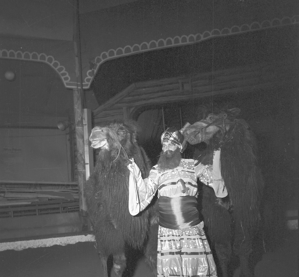 Furuviksparken invigdes pingstdagen 1936. Cirkusbyggnaden Teater-Cirkus ...