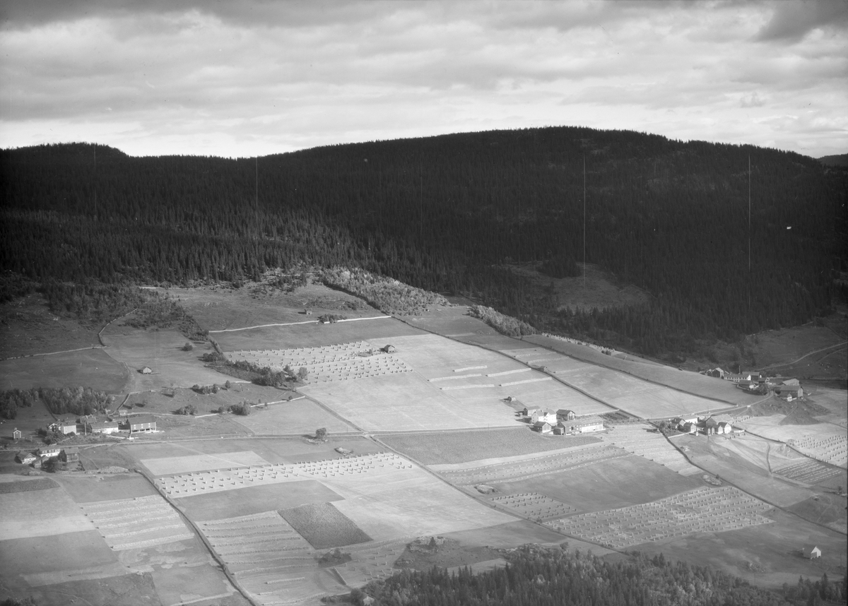 Tretten Øverbygd, Øyer, Nord-Tretten, Fra v: Glomstad, Johnsgard ...