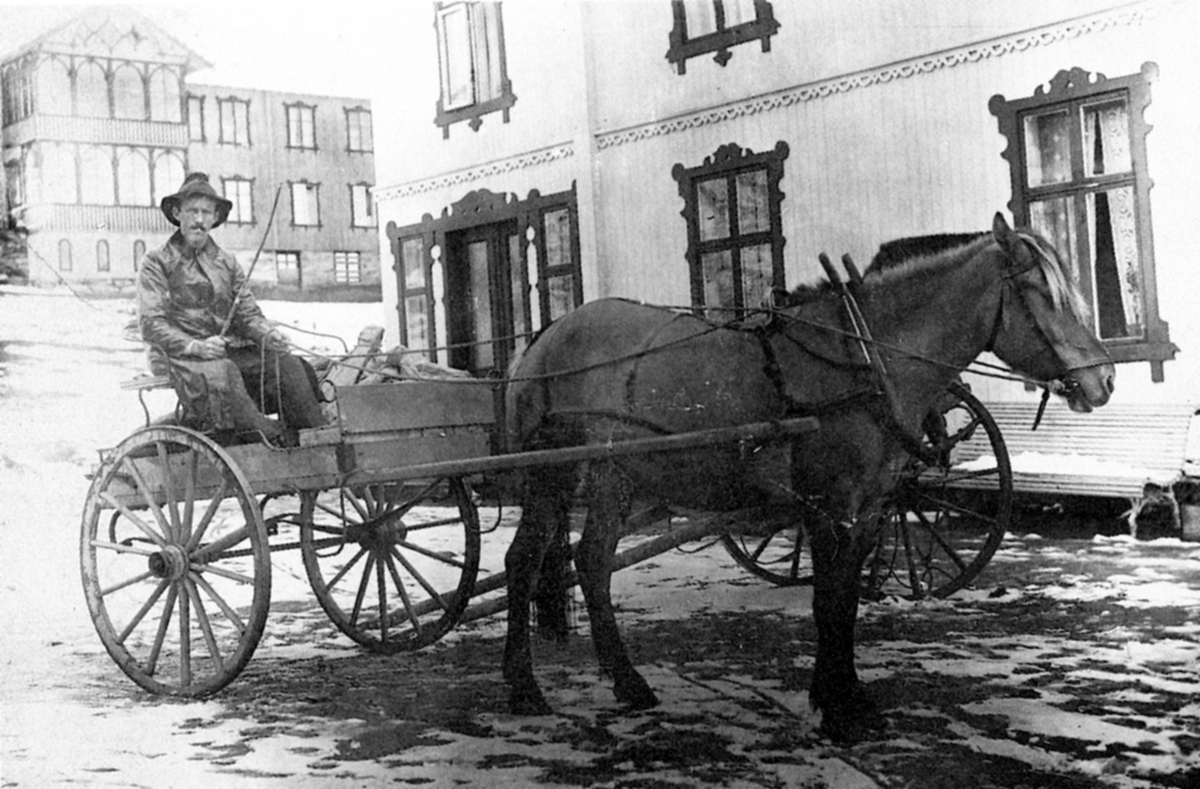 Mann med hest og vogn - Anno Musea i Nord-Østerdalen / DigitaltMuseum