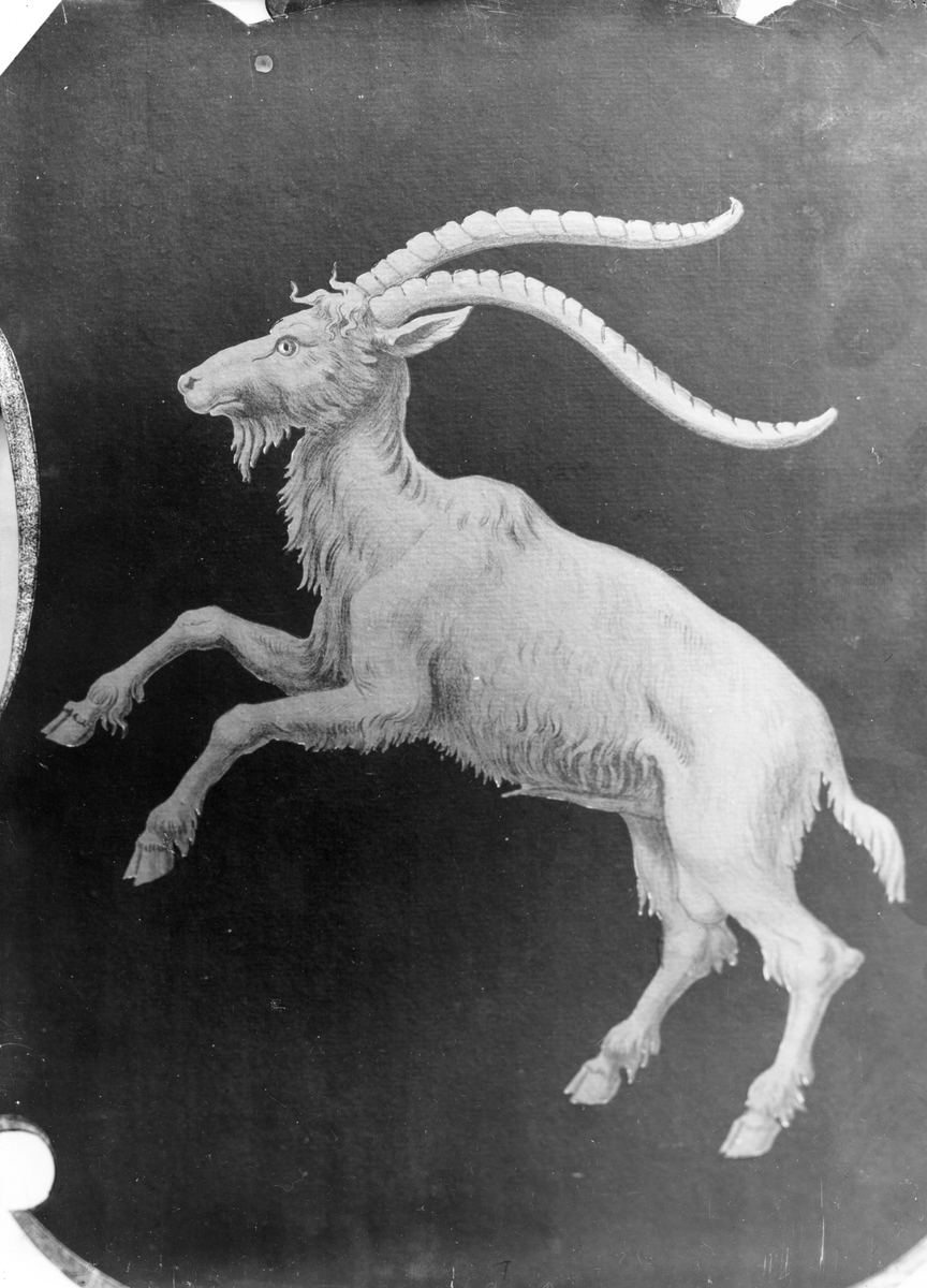 Hälsinglands landskapsvapen. I svart fält en gyllene bock med röd ...