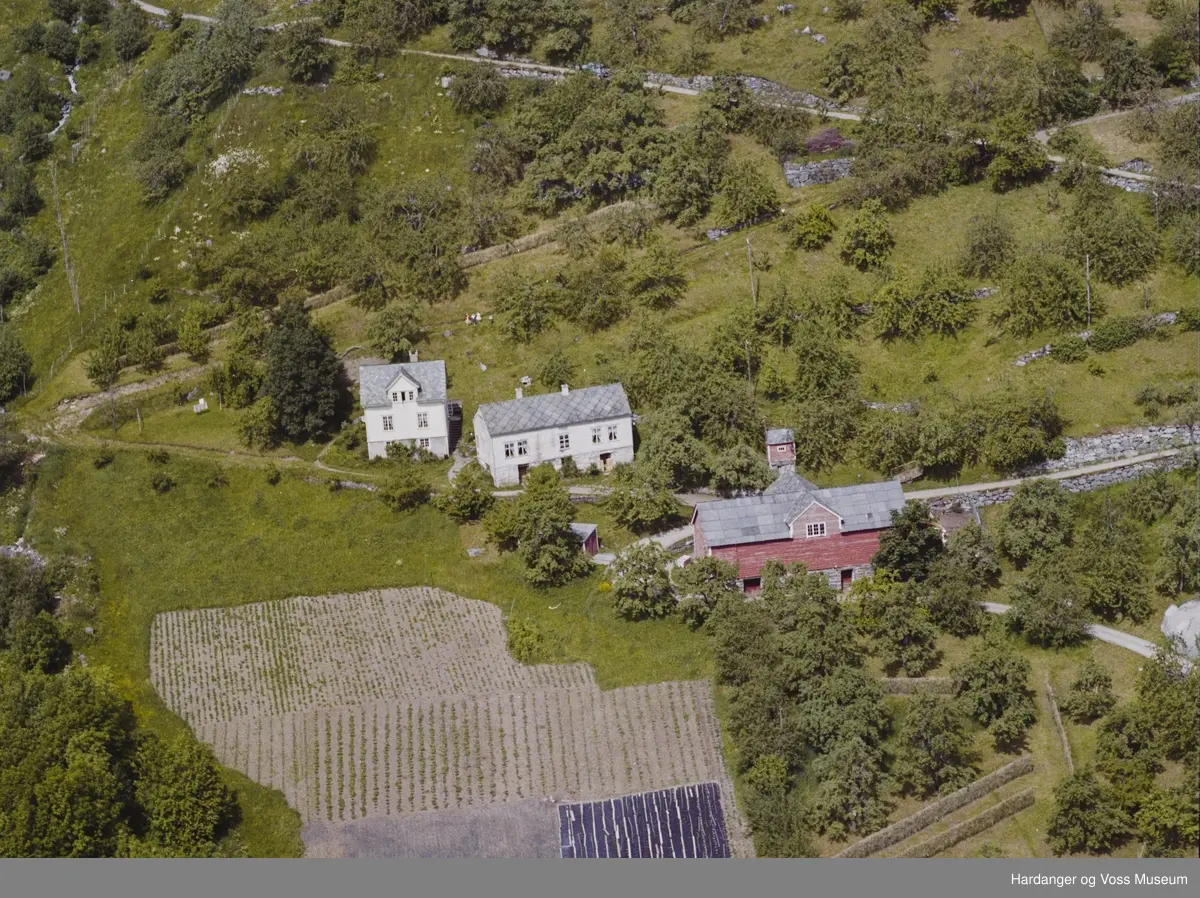 Flyfoto, Måkestad - Hardanger og Voss Museum / DigitaltMuseum