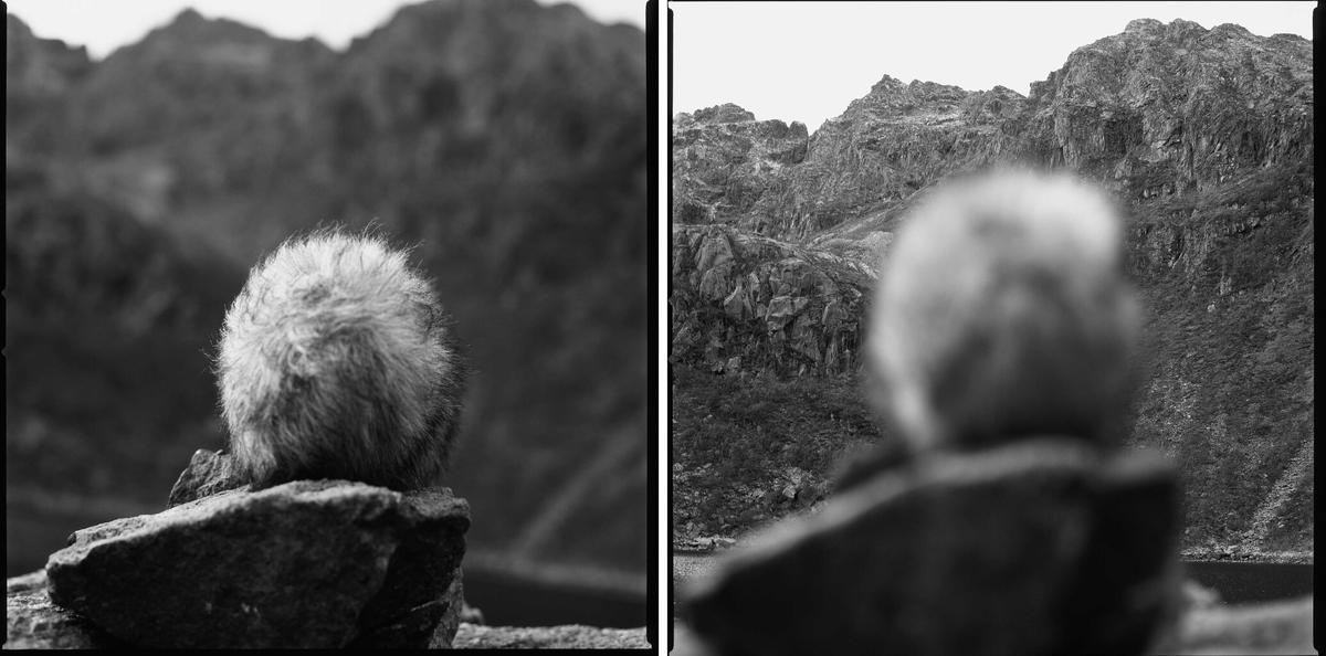 A K Dolven - Trondheim kunstmuseum