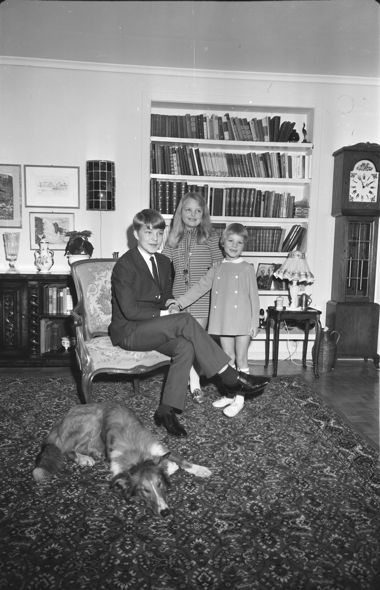 Portrett. Familiegruppe på tolv. To eldre kvinner og en voksen mann, to ...