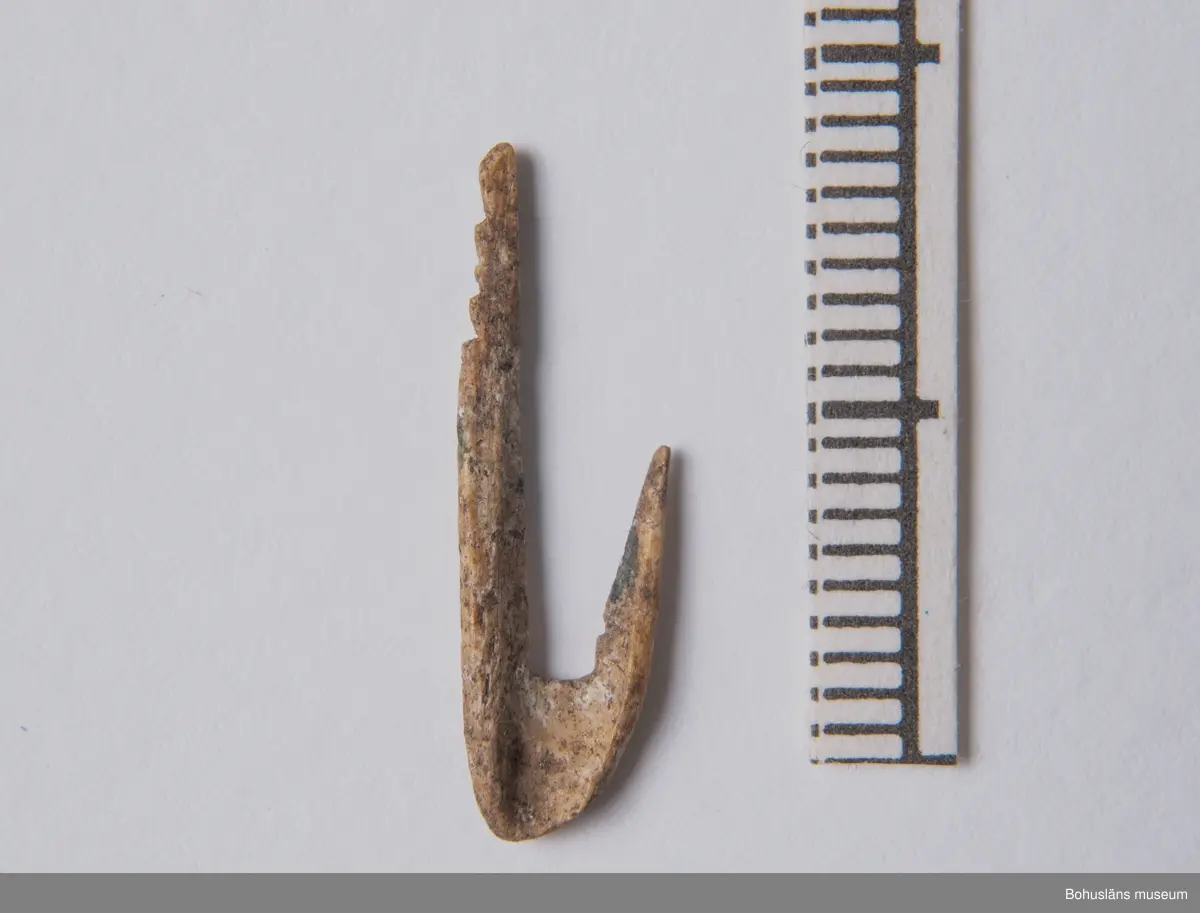 Krok - Bohusläns museum / DigitaltMuseum