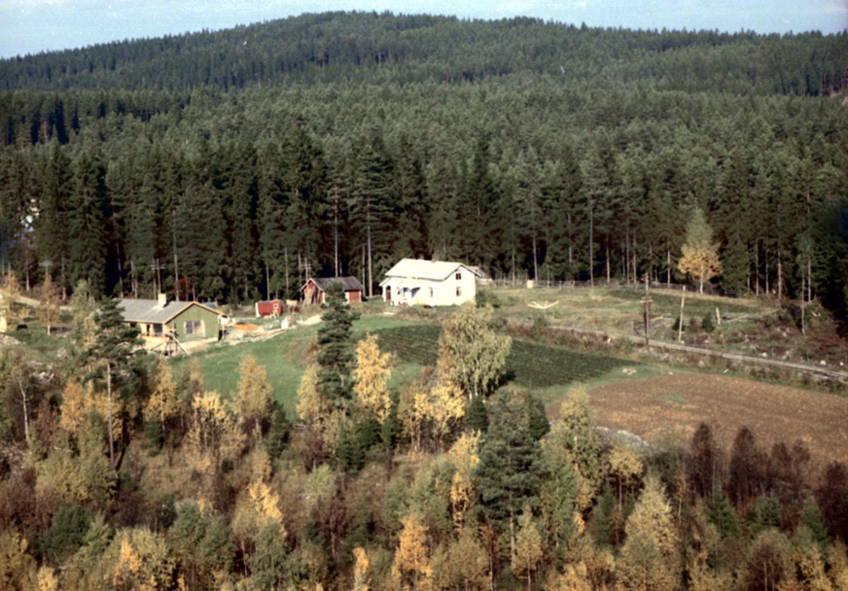 Bilder,digitalt museum - DigitaltMuseum