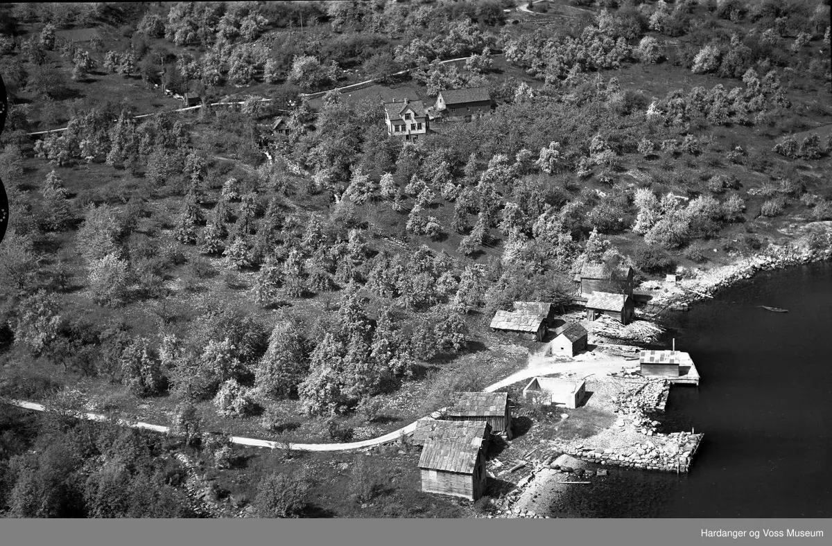Flyfoto, Jåstad - Hardanger og Voss Museum / DigitaltMuseum