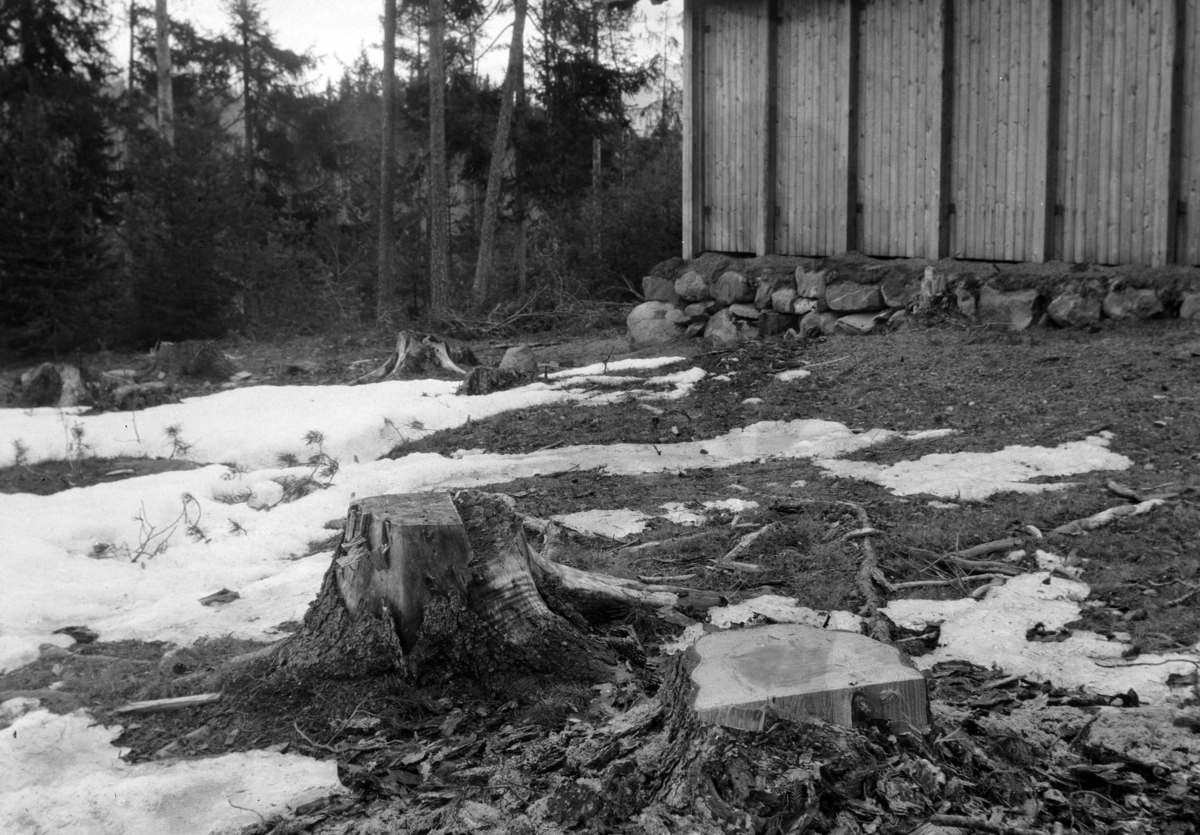 Ole Løken var formann i styret for Ringsaker og Nes Almenning, opptatt ...