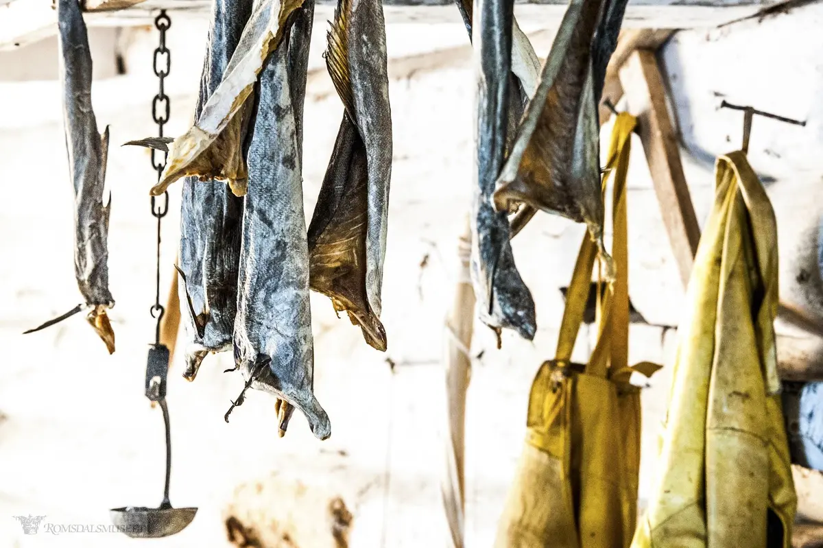 Fiskerimuseet.."Tørrfisk" ."Romsdalsmuseet 100 år".Jubileumsutstilling ...