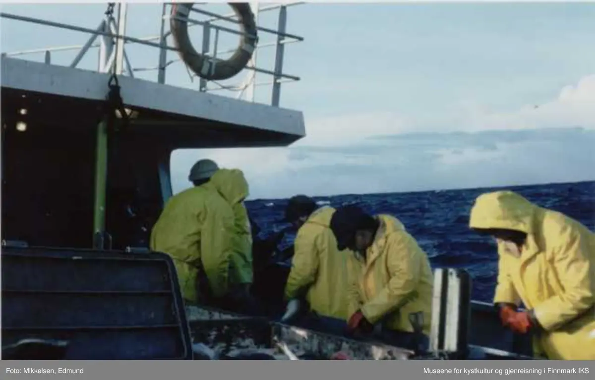 Garnfiske med fiskebåten Oddvar jr fra Havøysund. Magne Hansen,Øystein ...