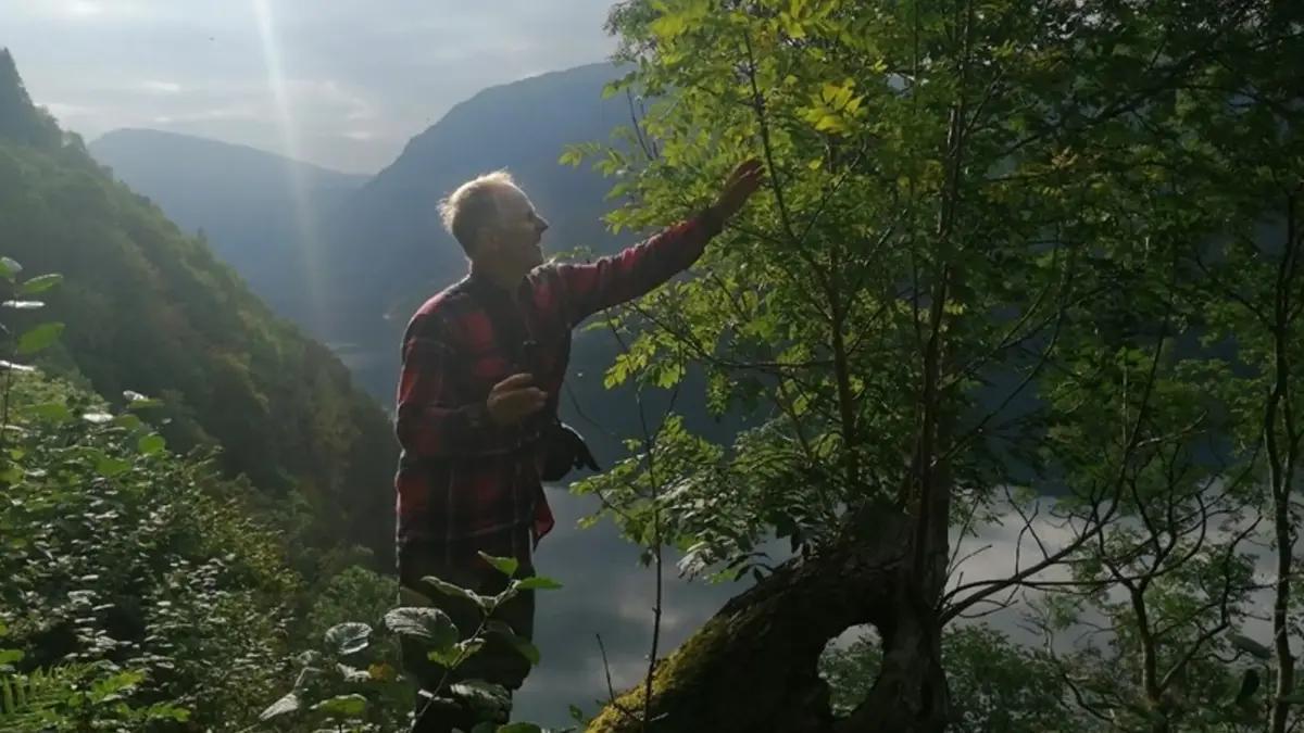 A walk in the woodlands - Havrå